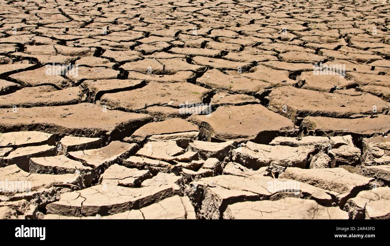 Drought concept image consisting of a dry cracked river bed Stock Photo ...