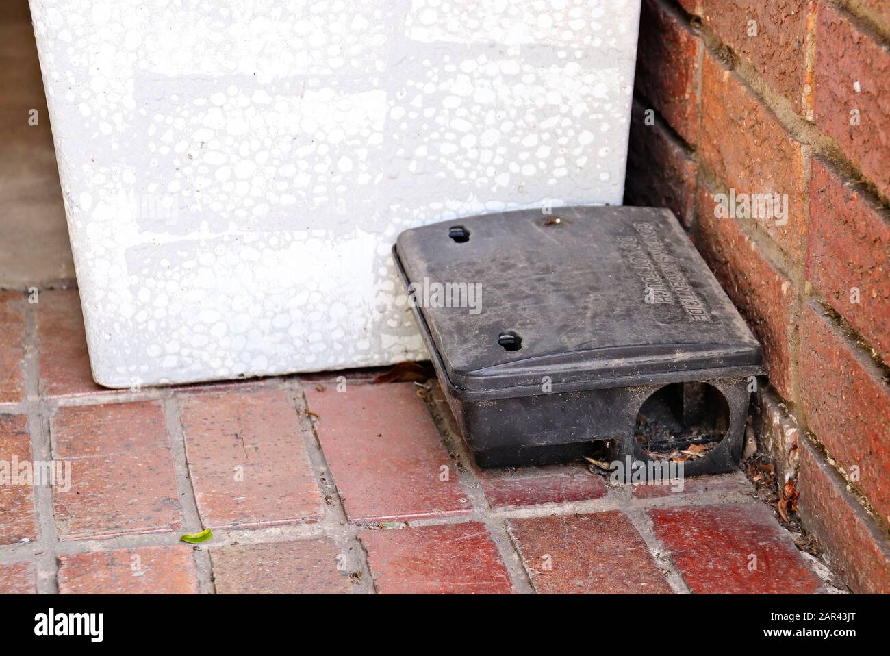 A black plastic rat trap Stock Photo - Alamy