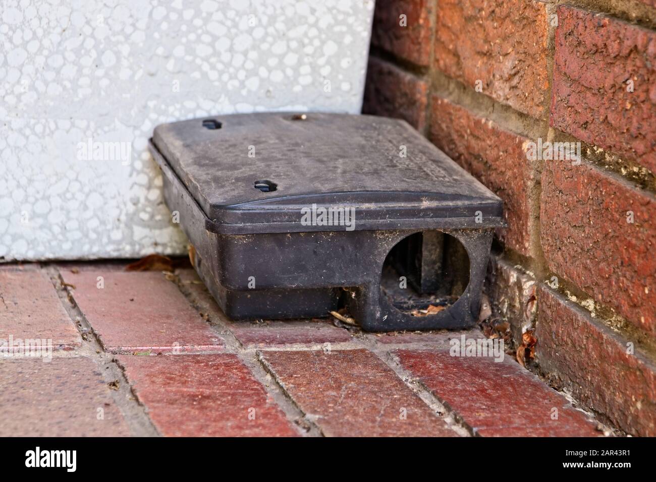 A black plastic rat trap Stock Photo - Alamy