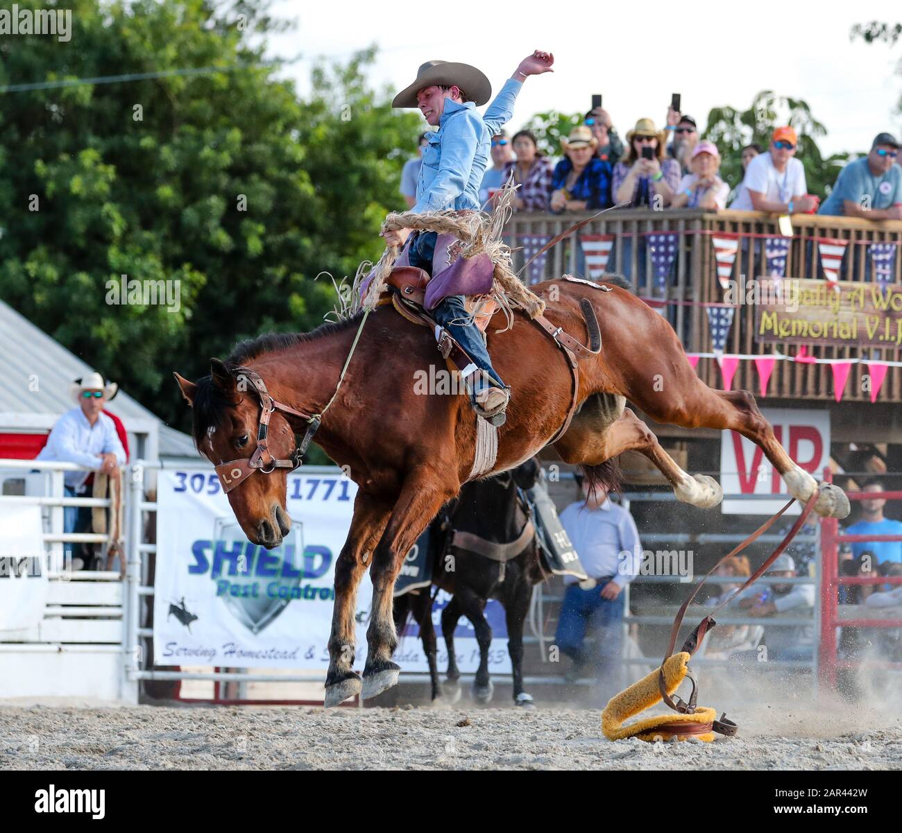Saddle Bronc Riding High Resolution Stock Photography and Images - Alamy