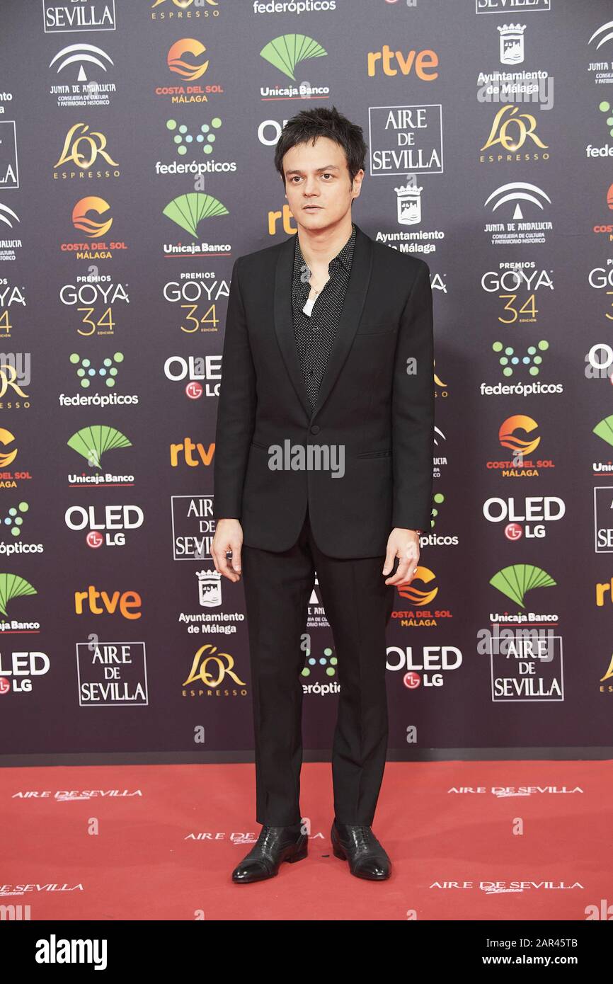 January 25, 2020, Malaga, Andalucia, Spain: Jamie Cullum attends 34th ...