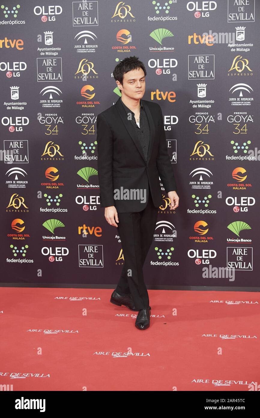 January 25, 2020, Malaga, Andalucia, Spain: Jamie Cullum attends 34th ...