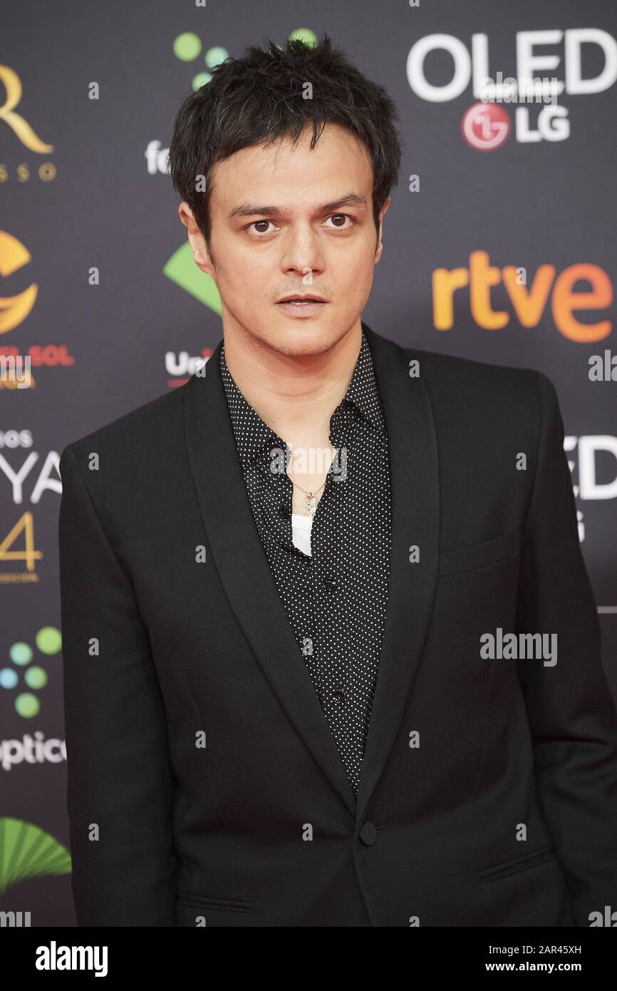 January 25, 2020, Malaga, Andalucia, Spain: Jamie Cullum attends 34th ...