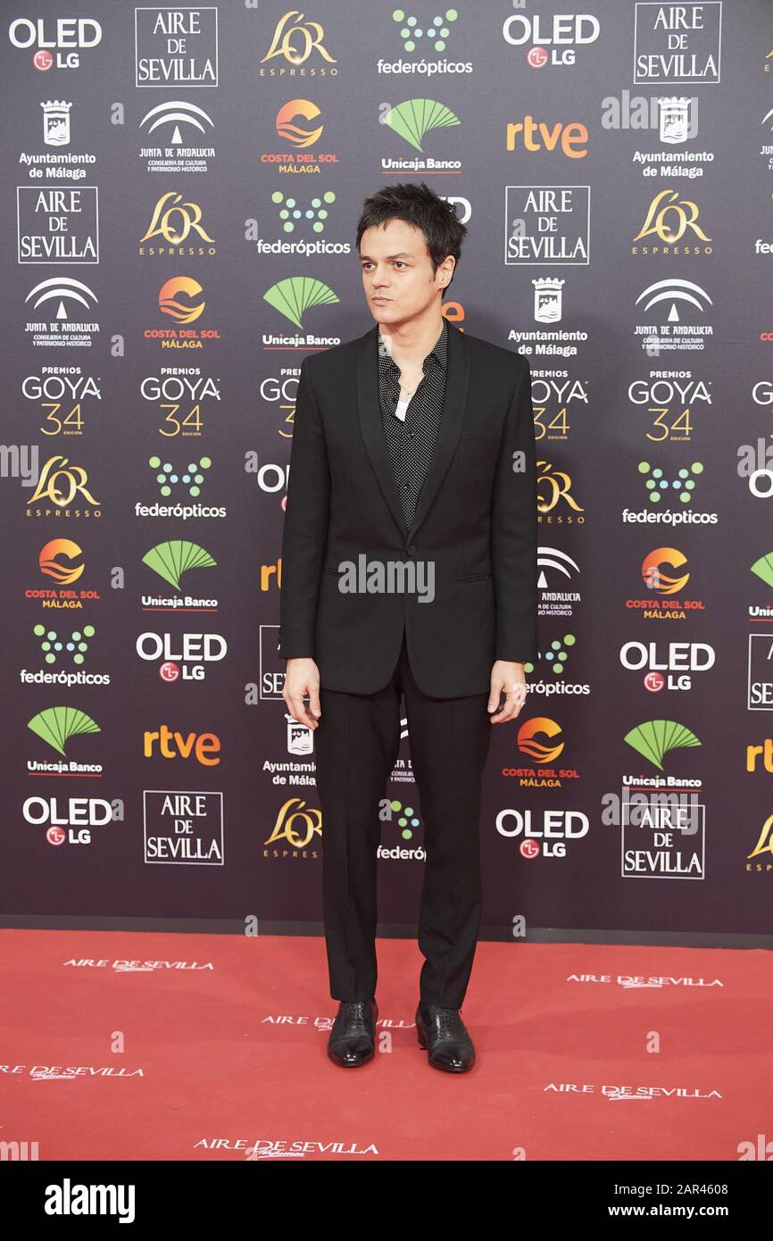 January 25, 2020, Malaga, Andalucia, Spain: Jamie Cullum attends 34th ...