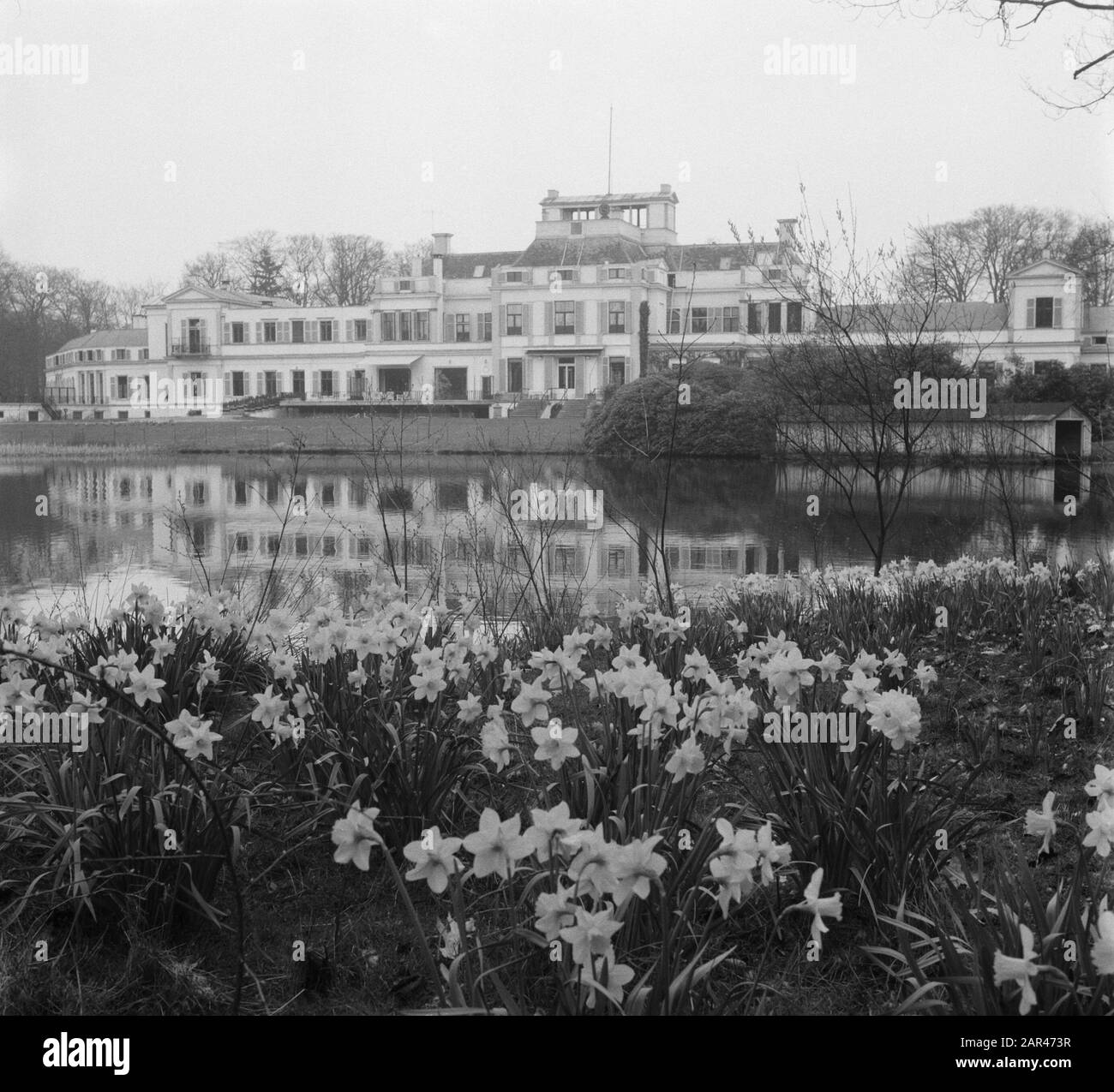 Boy scout actions hi-res stock photography and images - Alamy
