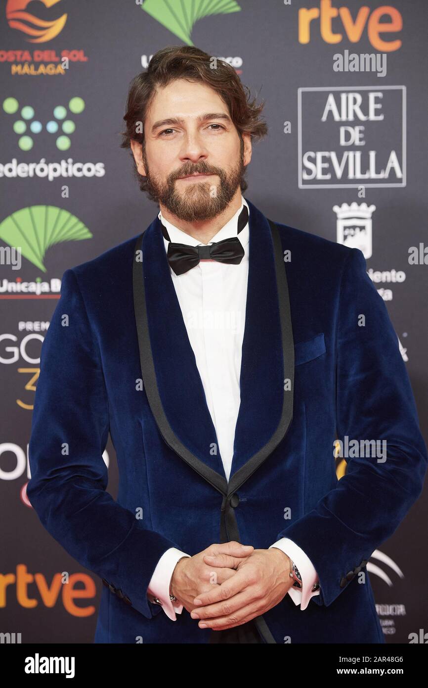 January 25, 2020, Malaga, Andalucia, Spain: Felix Gomez attends 34th ...