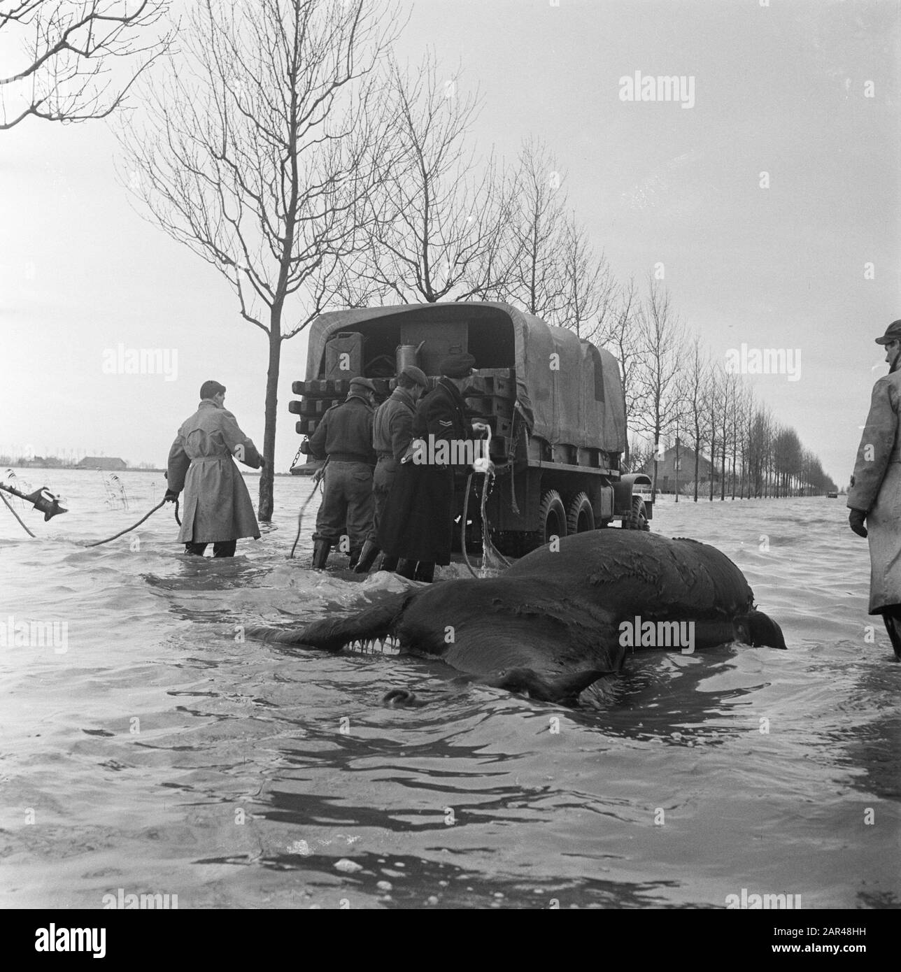 5 february 1953 hi-res stock photography and images - Alamy