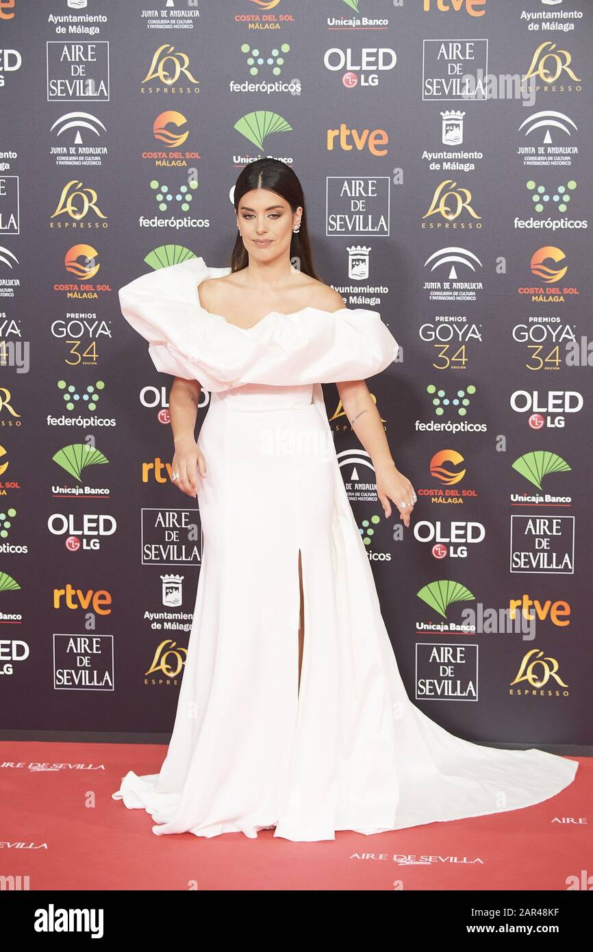 January 25, 2020, Malaga, Andalucia, Spain: Aida Domenech, Dulceida ...