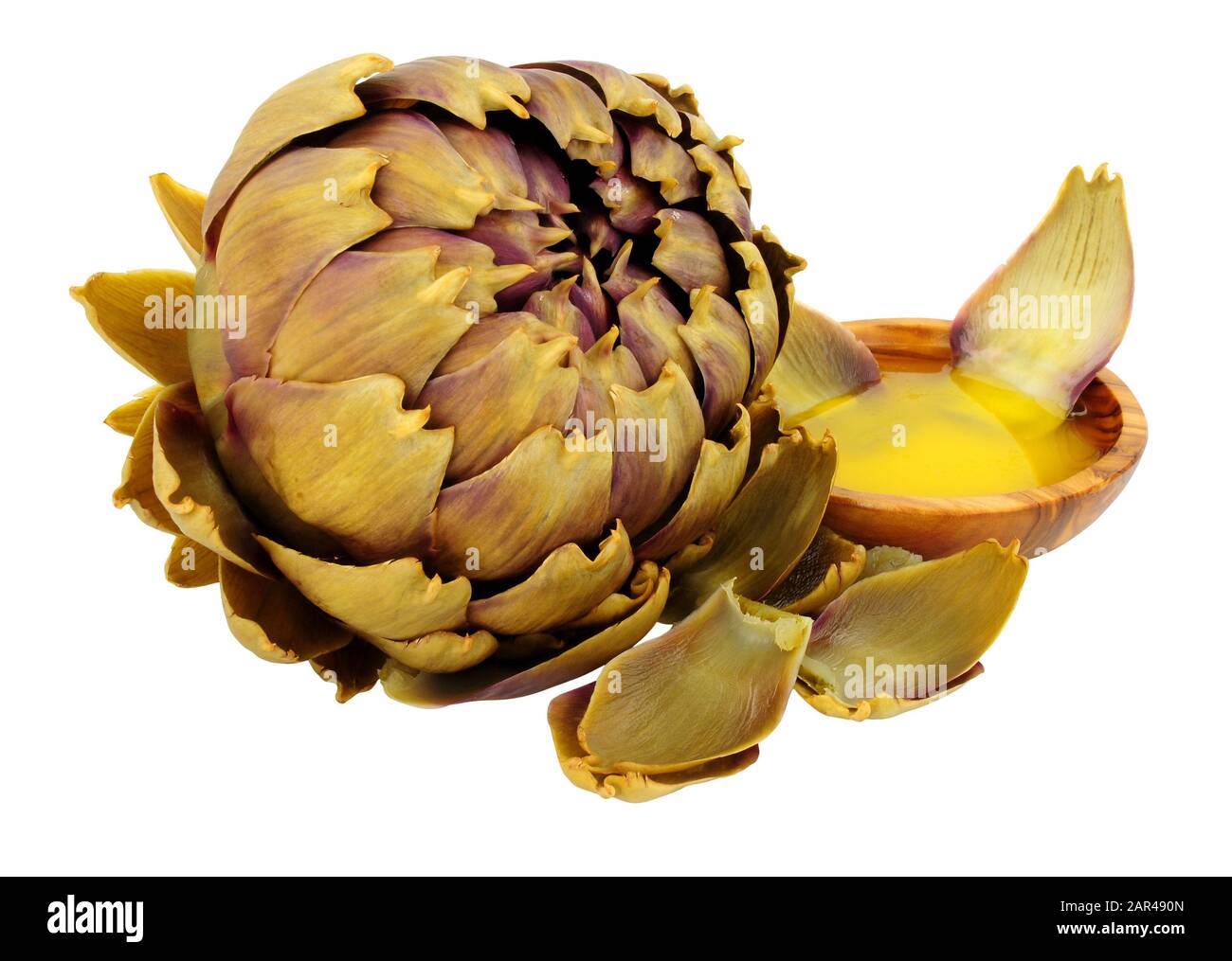 Steamed green globe artichoke flower bud with bowl of melted butter ...