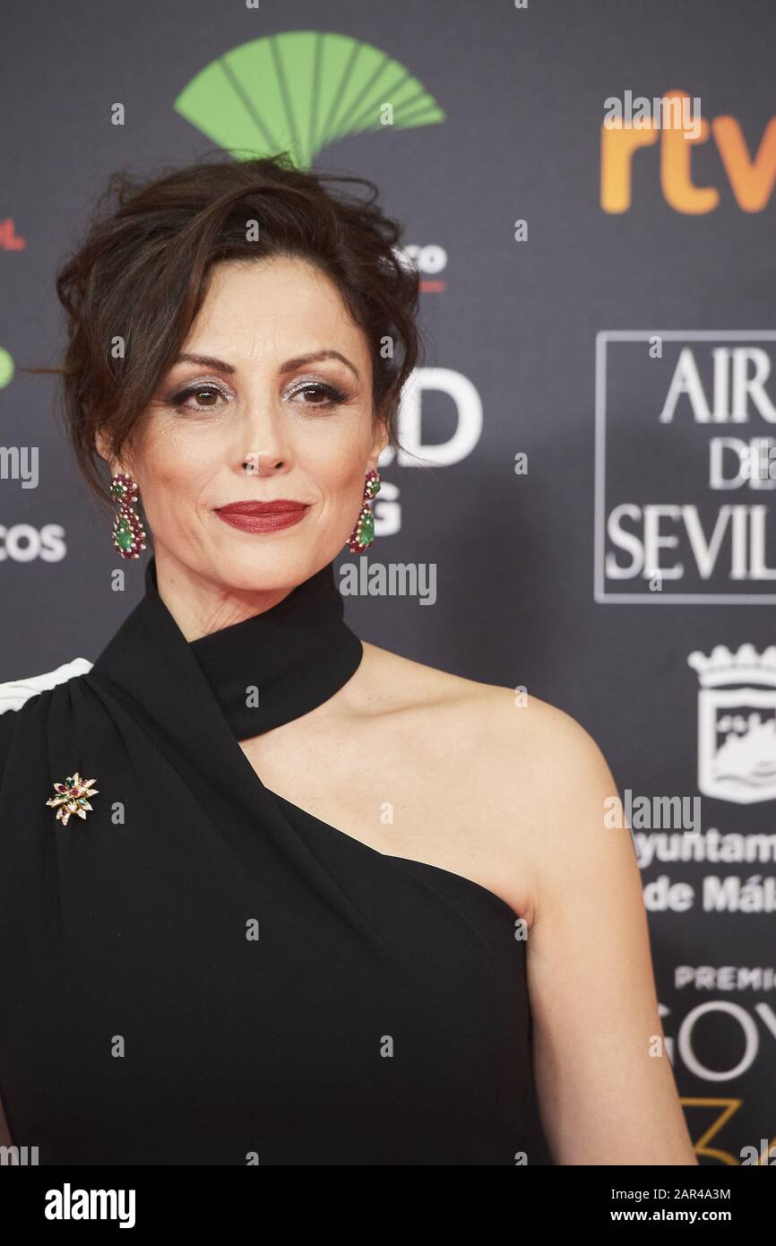 January 25, 2020, Malaga, Andalucia, Spain: Ana Alvarez attends 34th ...