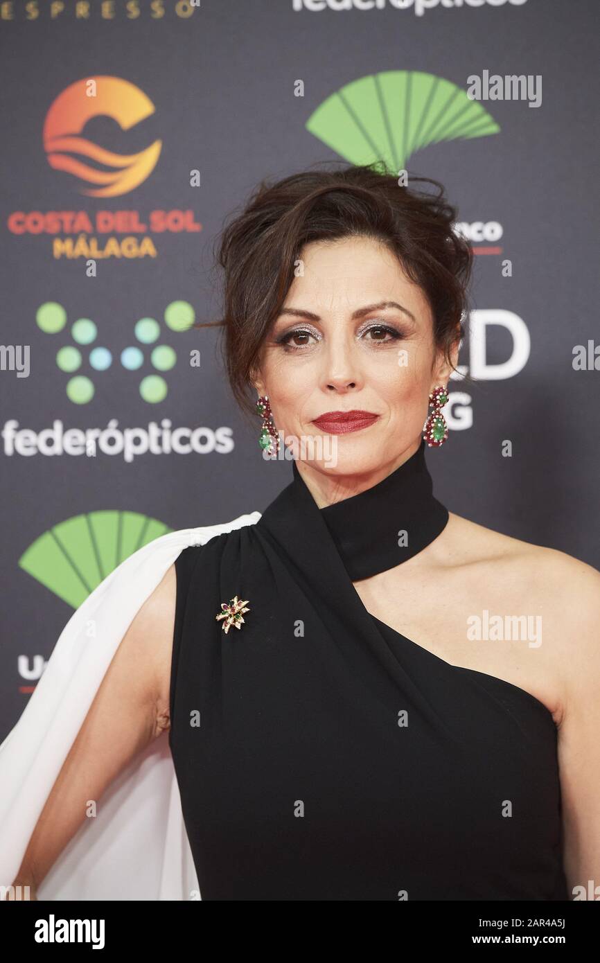 January 25, 2020, Malaga, Andalucia, Spain: Ana Alvarez attends 34th ...