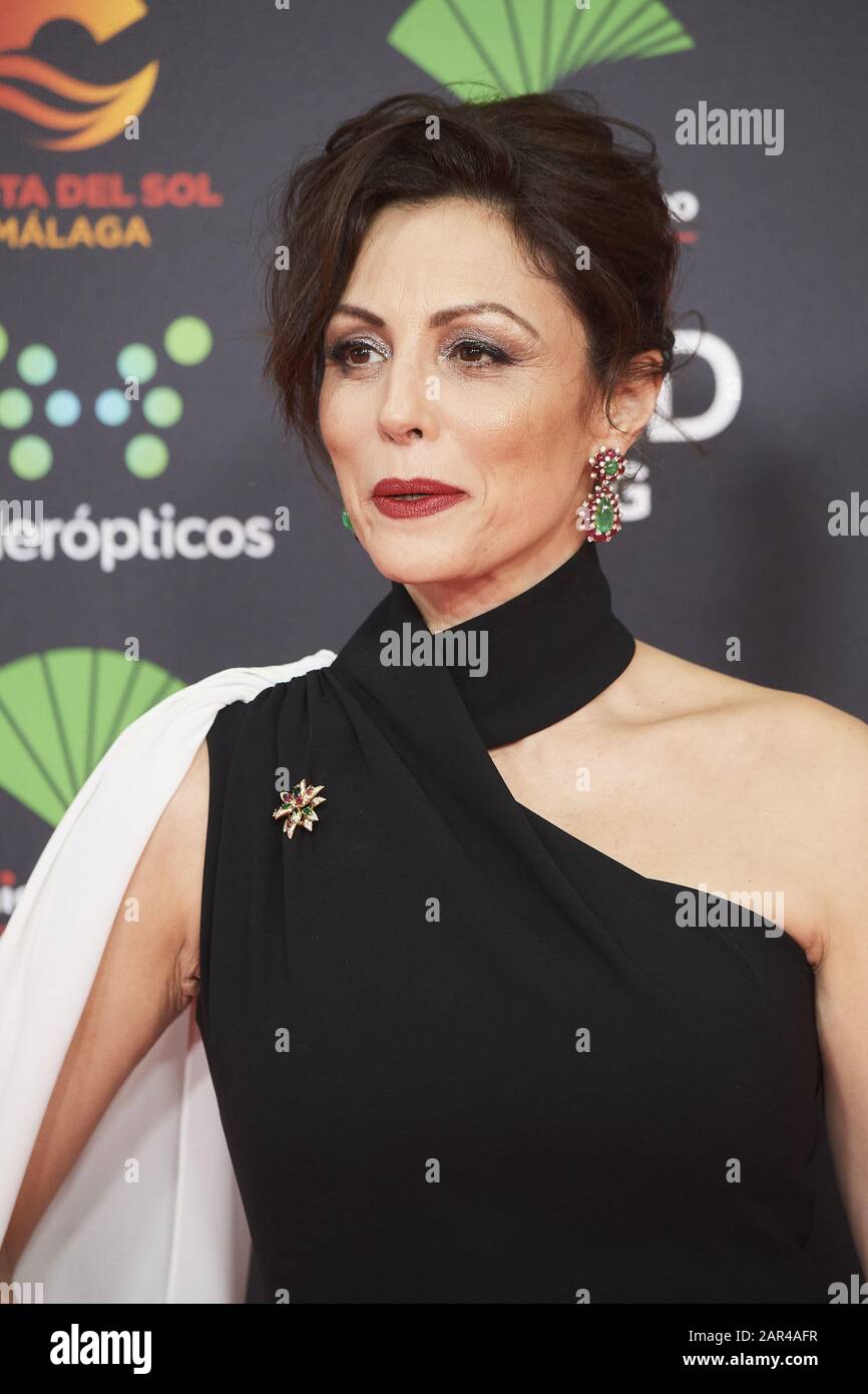 January 25, 2020, Malaga, Andalucia, Spain: Ana Alvarez attends 34th ...
