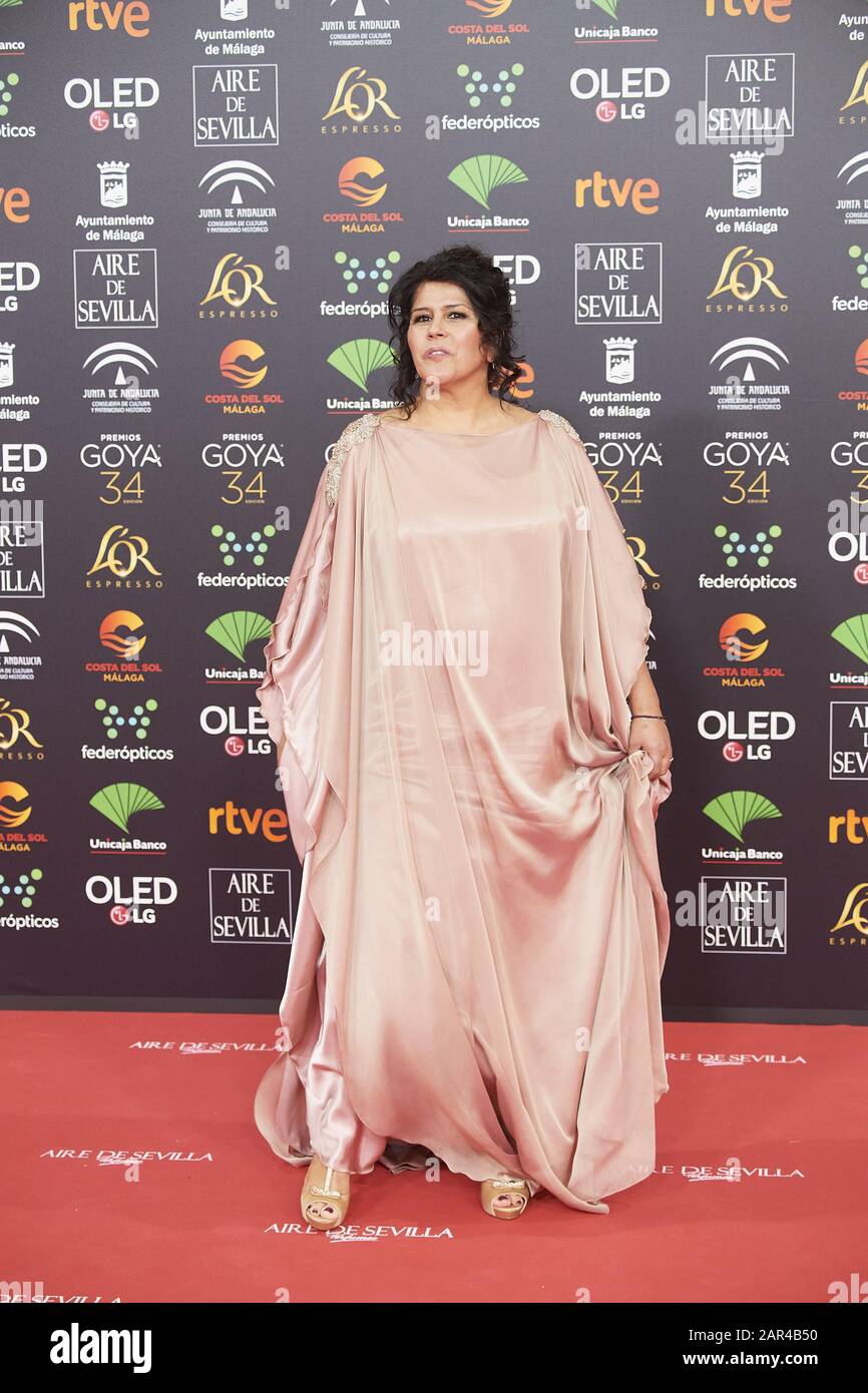 January 25, 2020, Malaga, Andalucia, Spain: Laura Baena attends 34th ...