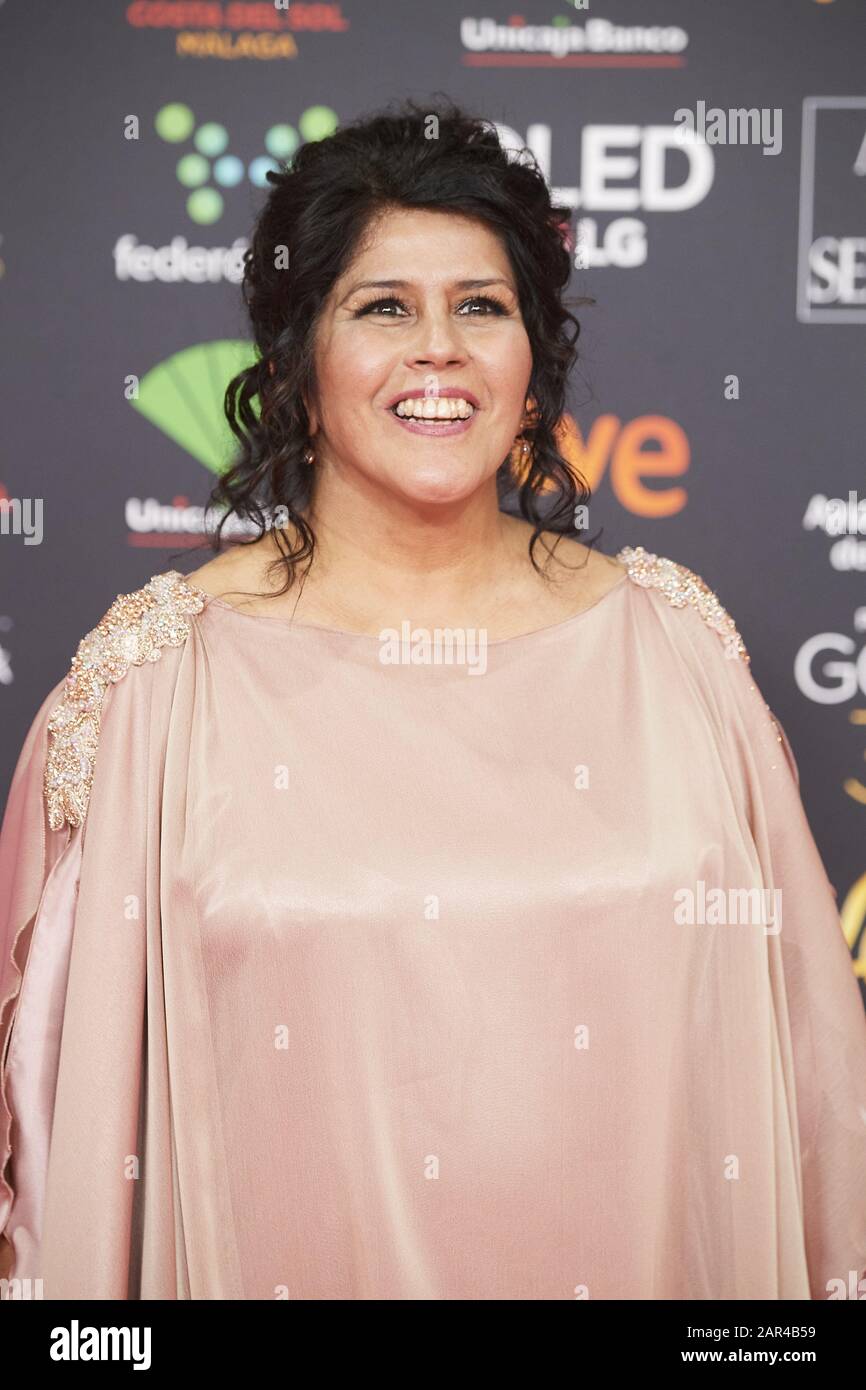 January 25, 2020, Malaga, Andalucia, Spain: Laura Baena attends 34th ...