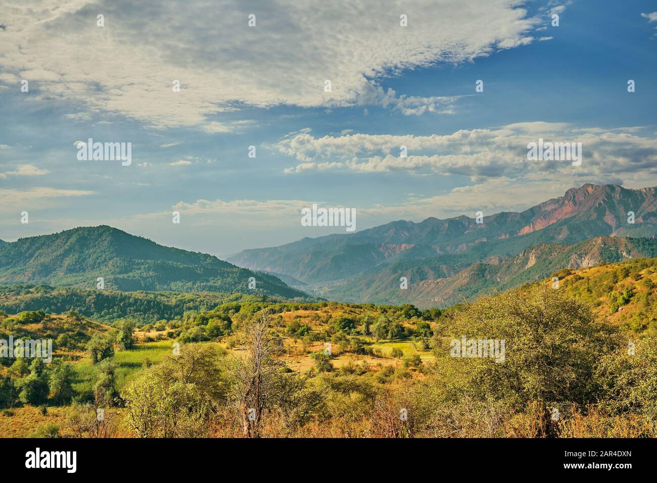 Mountains. Dense forests among hills and highland. Happy international ...