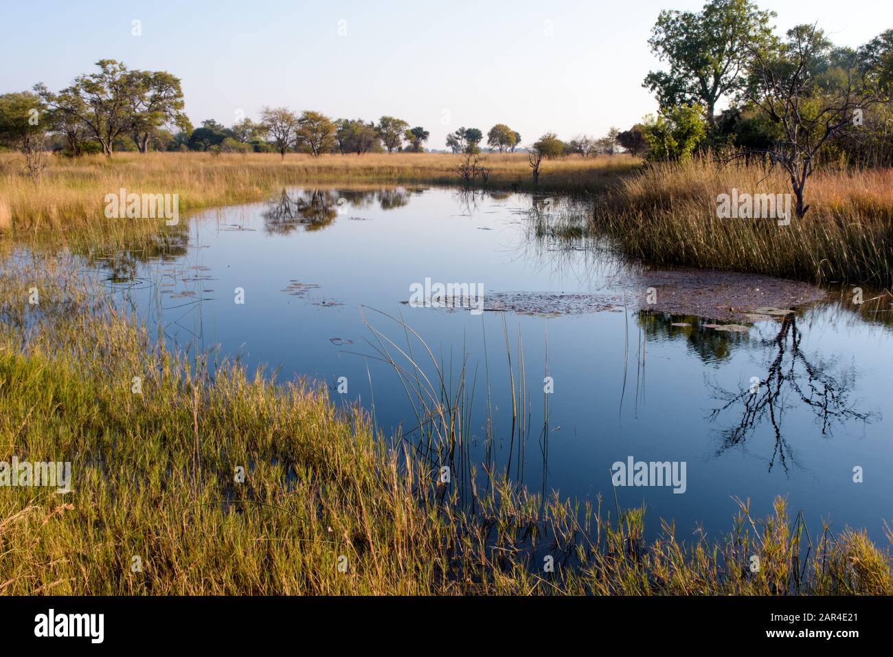 A tranqual pool in the Kwando river, Namibia Stock Photo - Alamy