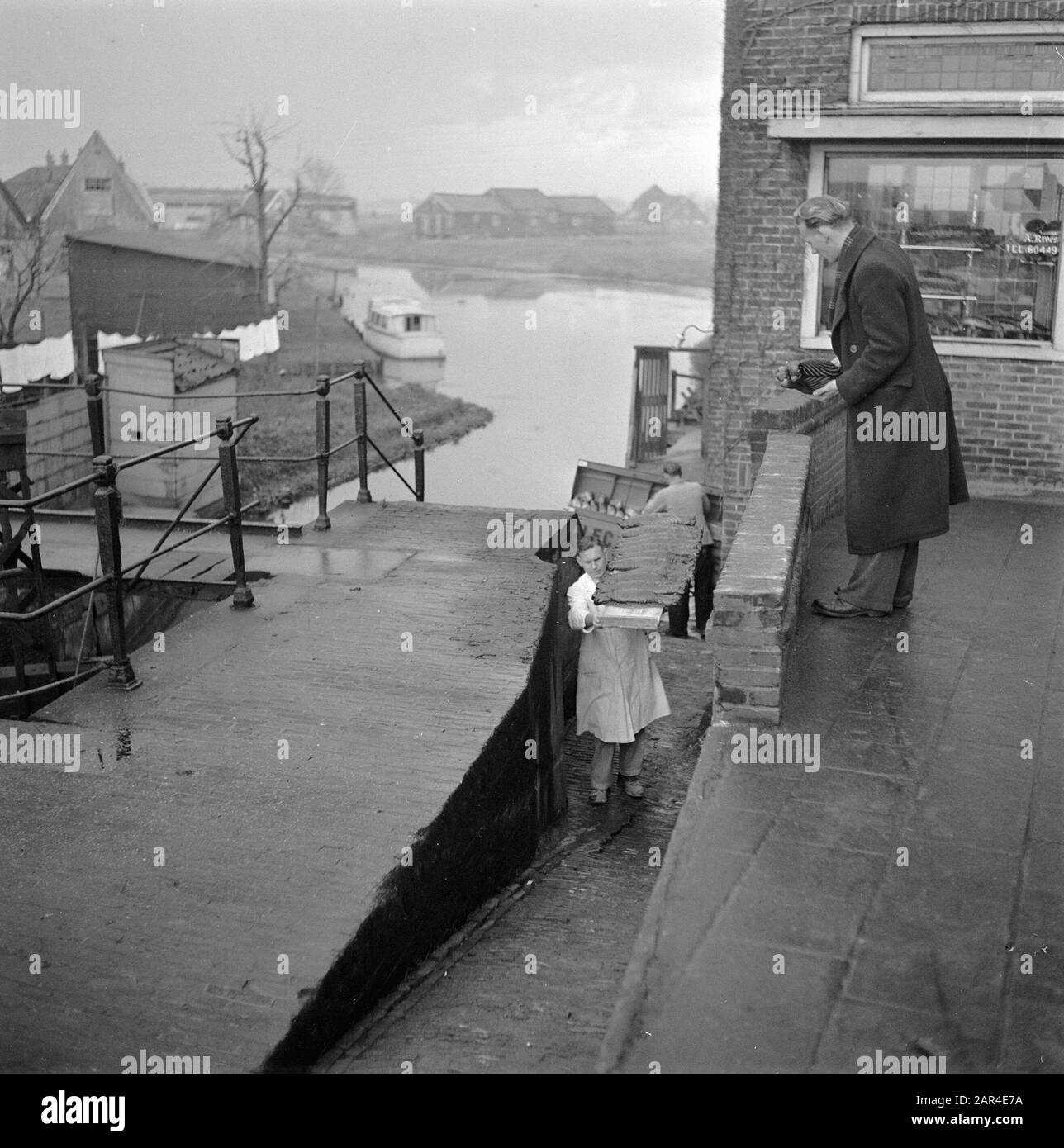 Dutch pigeon Black and White Stock Photos & Images - Alamy