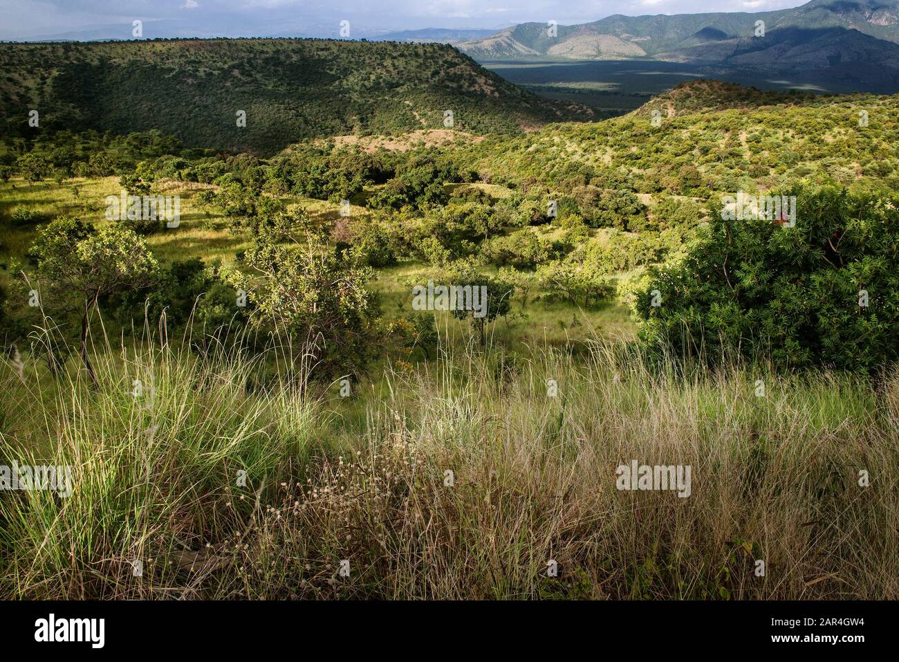 Panoramic view to Mago National Park at Omo valley, Etiopia Stock Photo ...