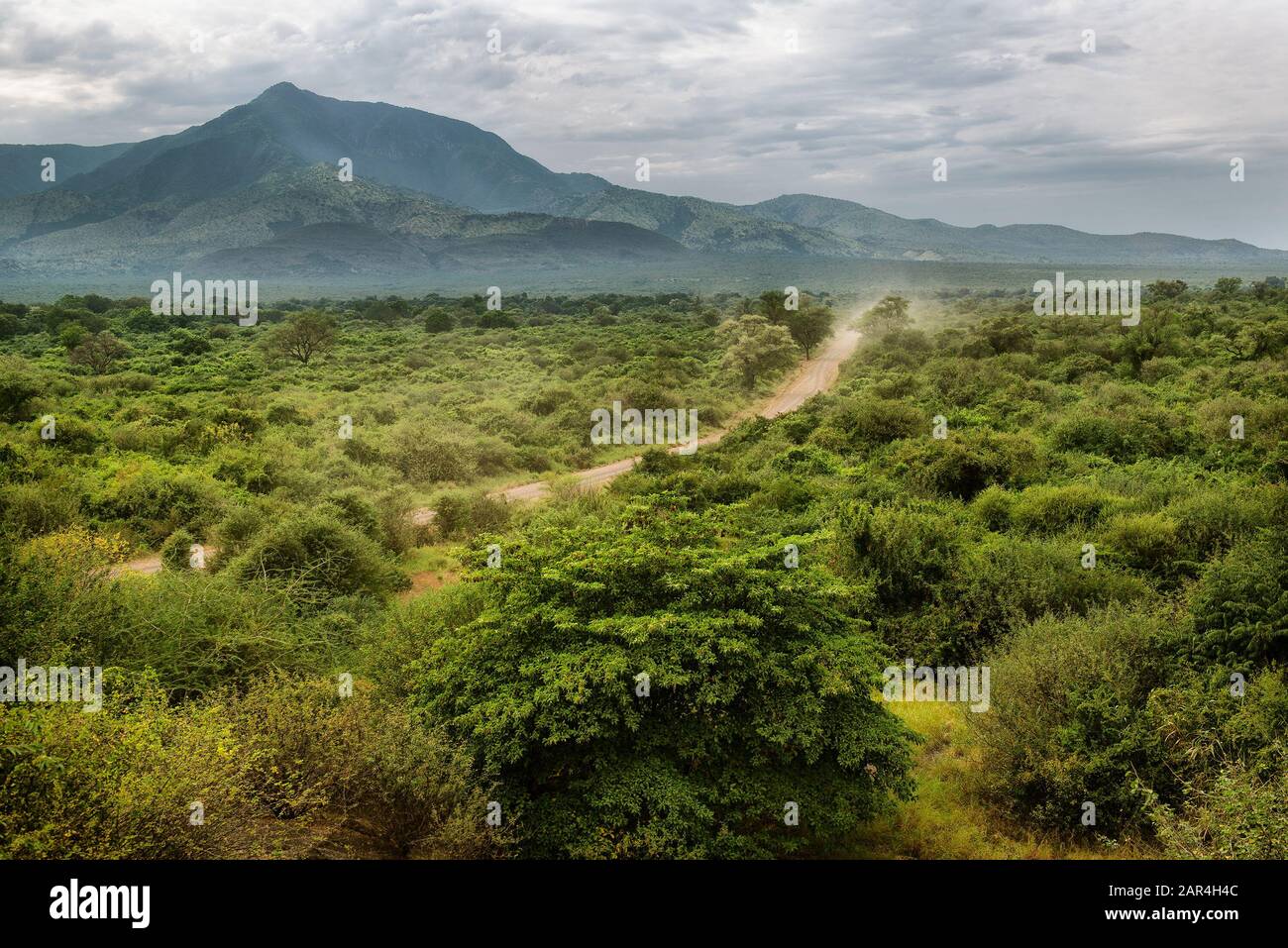 Panoramic view to Mago National Park at Omo valley, Etiopia Stock Photo ...