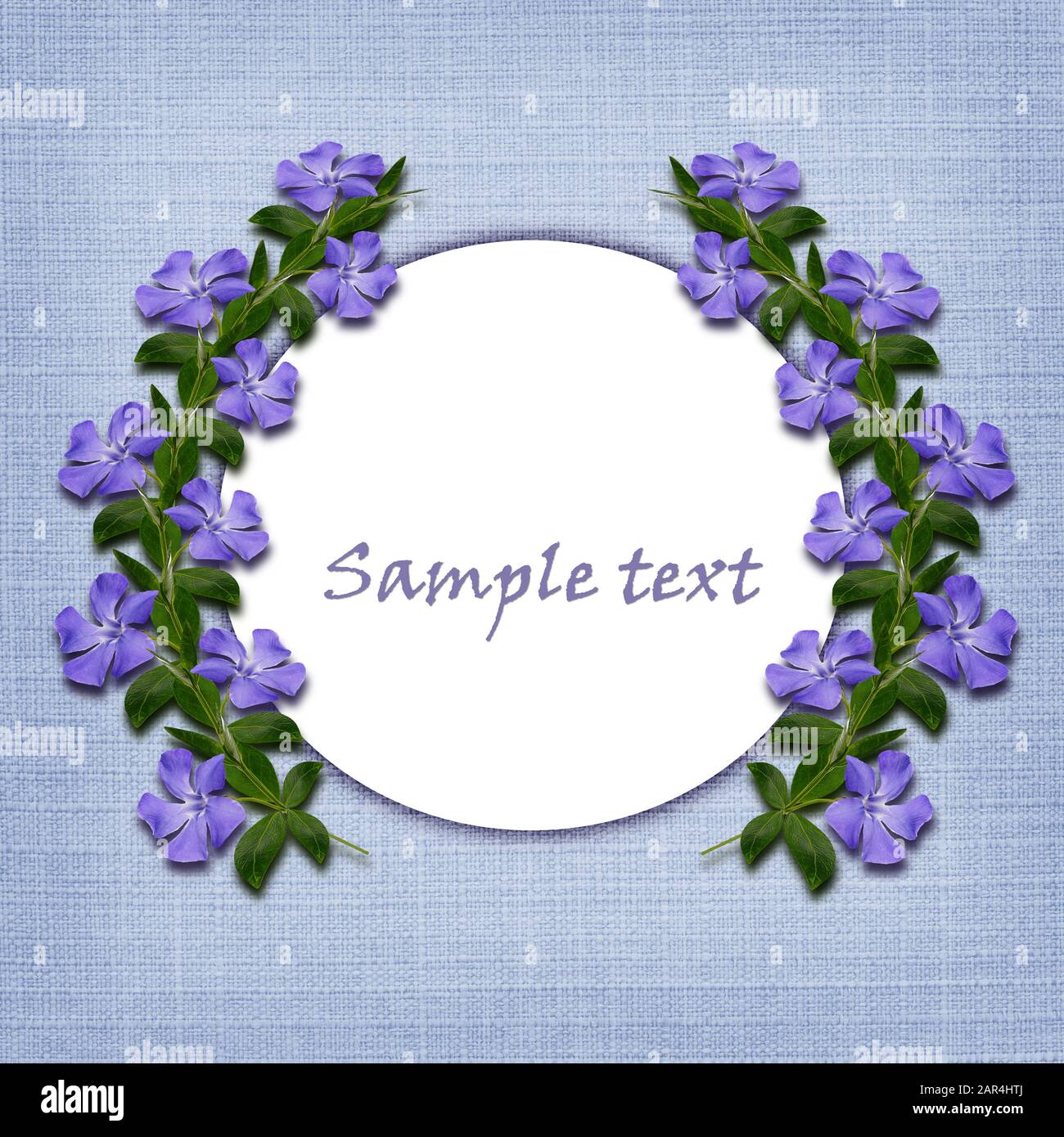 Periwinkle flowers line and a circle on blue background Stock Photo - Alamy