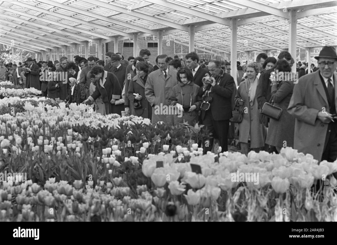 Printing on Keukenhof on 2nd Easter Date: April 15, 1968 Keywords ...