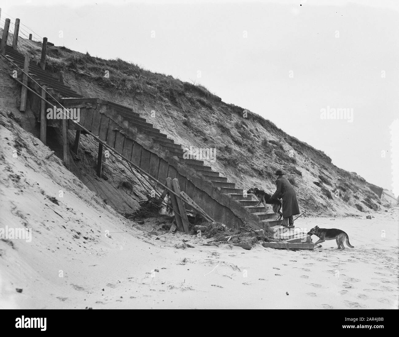 Restoration beach and dunes Scheveningen Date: March 9, 1953 Location ...