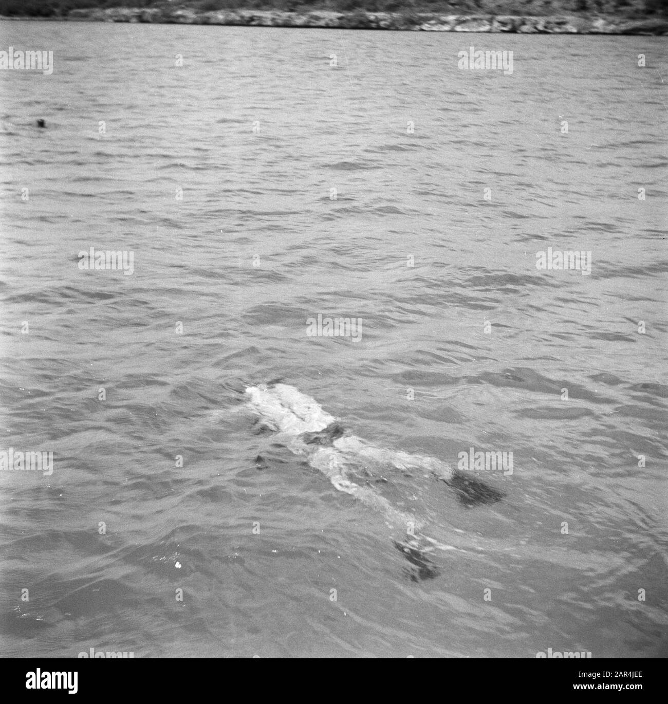 Netherlands Antilles and Suriname at the time of the royal visit of ...