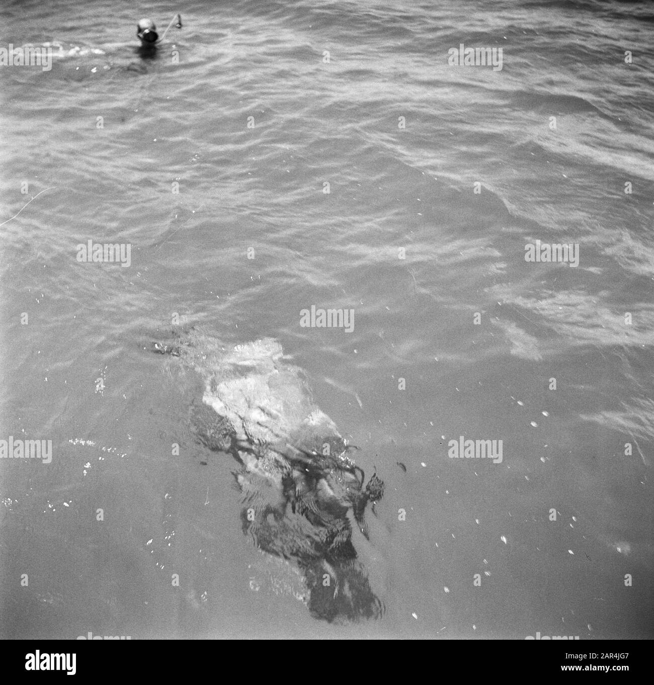 Netherlands Antilles and Suriname at the time of the royal visit of ...