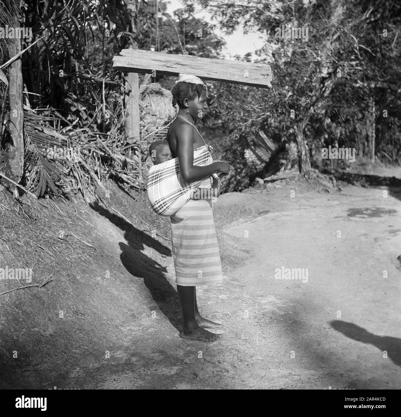 Travel to Suriname and the Netherlands Antilles A forest farm creole ...