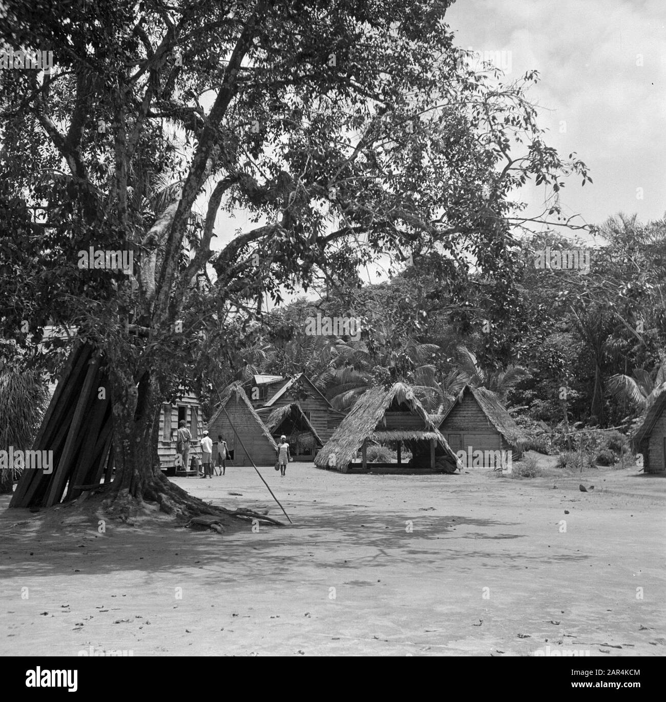 Travel to Suriname and the Netherlands Antilles A forest farm village ...