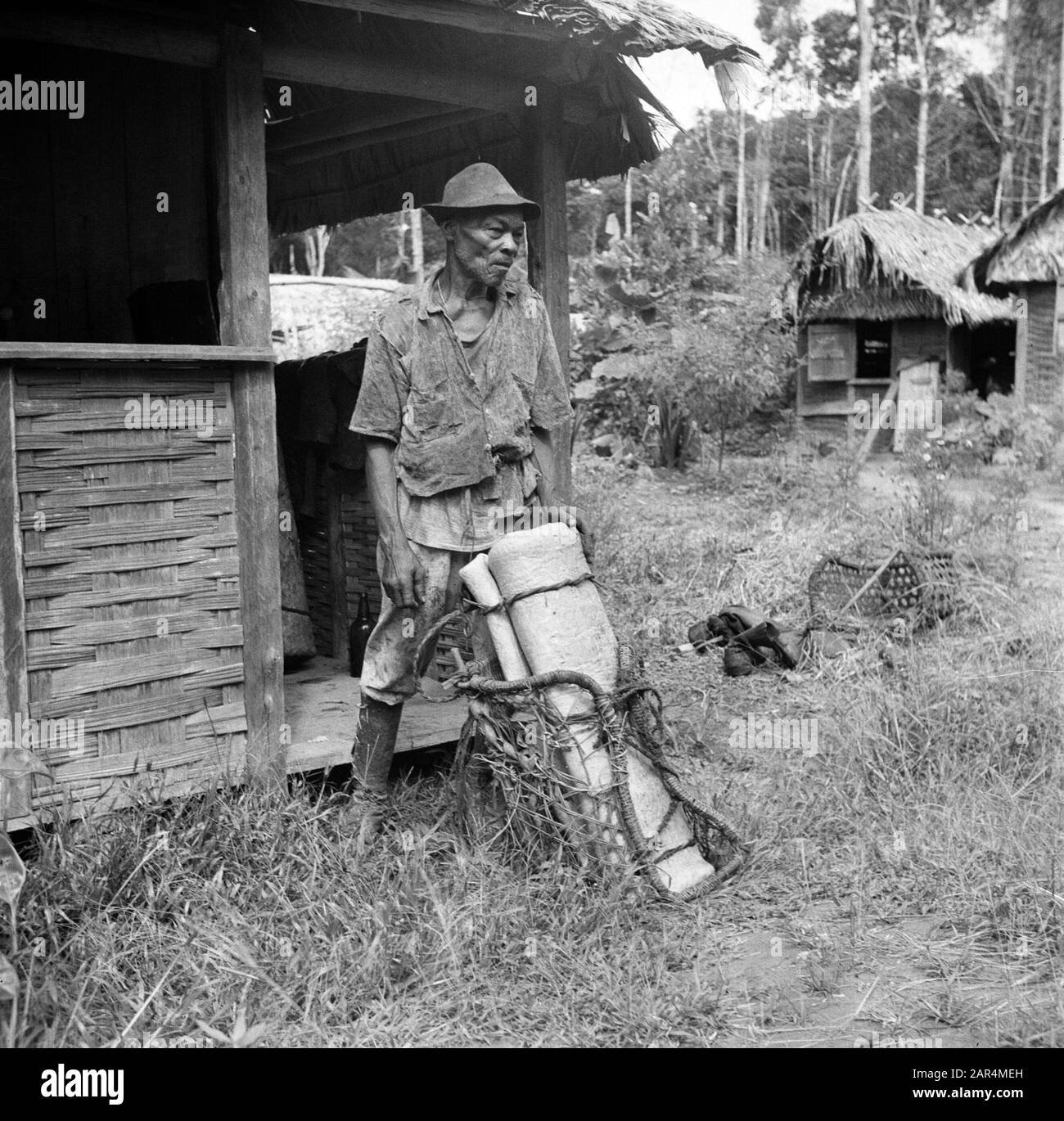 Travel to Suriname and the Netherlands Antilles A so-called Balata ...