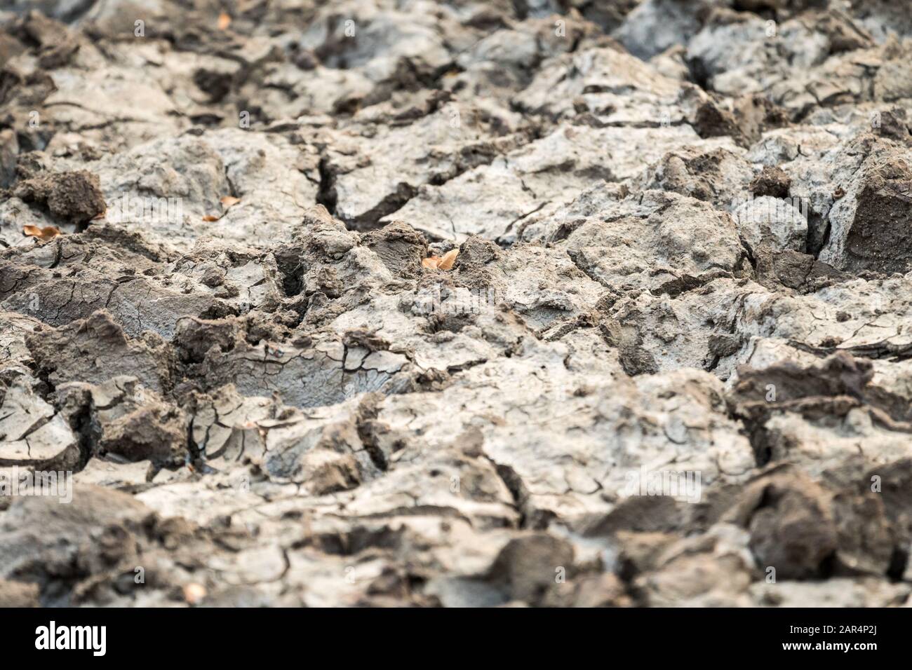 cracked dry and parched earth, soil, land, ground showing the ...