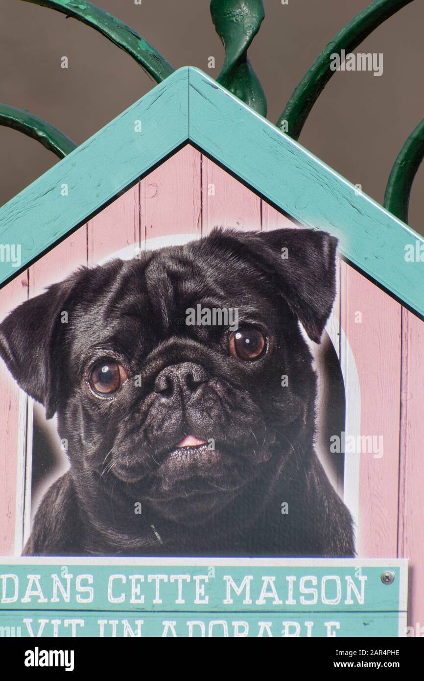 Black dog sign hi-res stock photography and images - Alamy