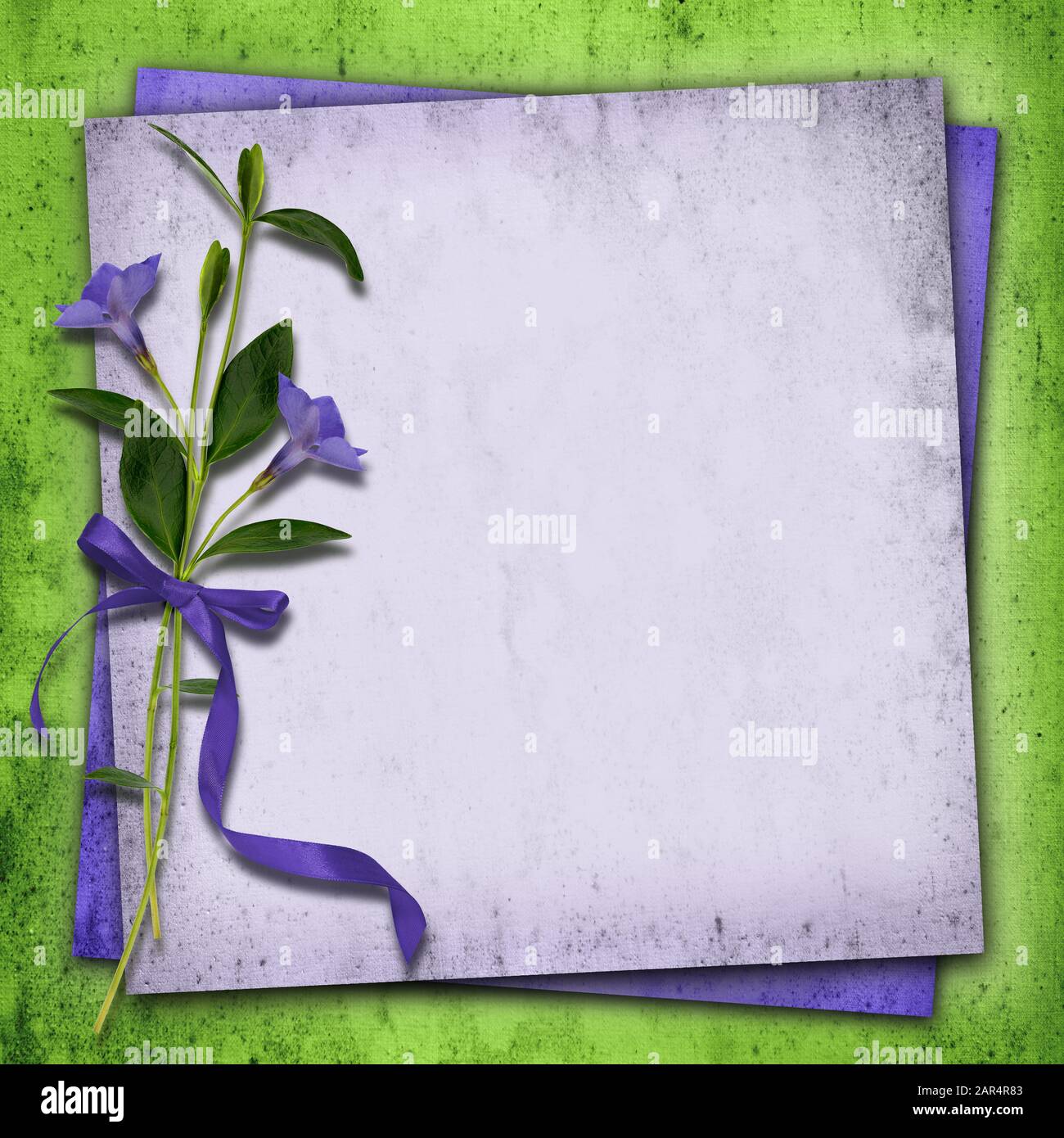 Periwinkle flowers in a corner of paper Stock Photo - Alamy