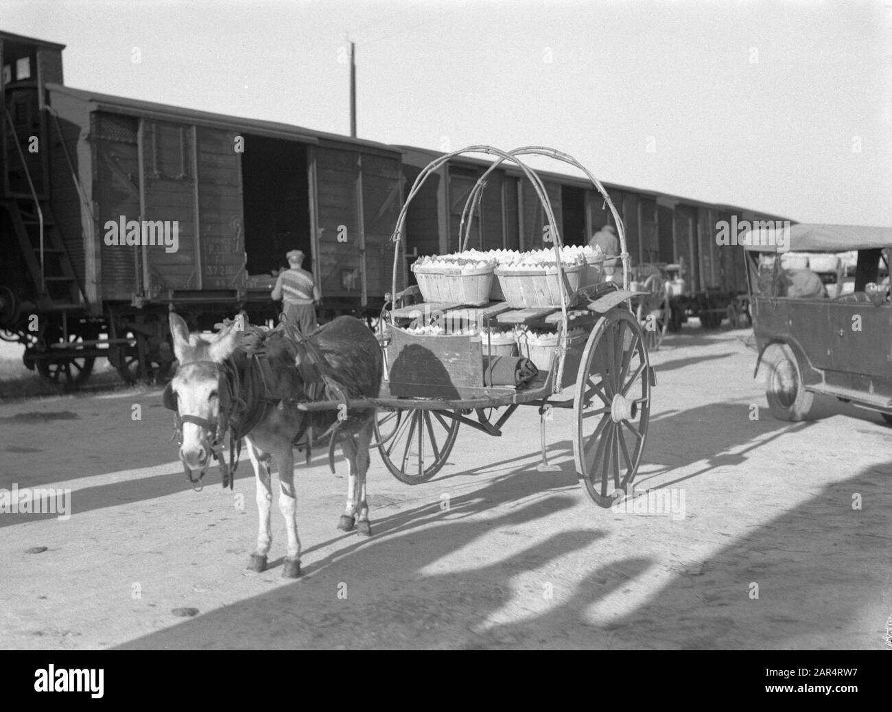 Animals train station Black and White Stock Photos & Images - Alamy