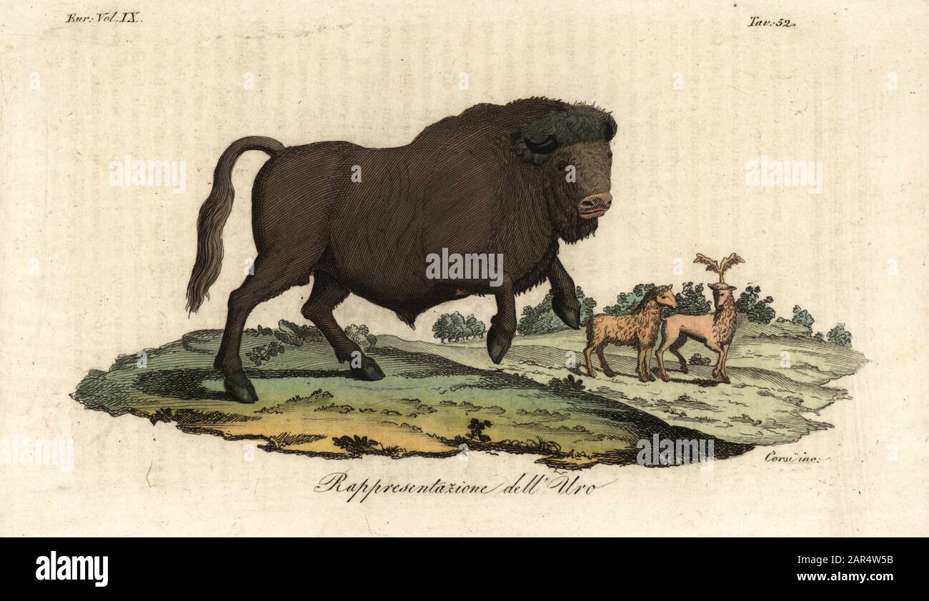 Extinct bull aurochs, Bos primigenius, with stag and deer ...