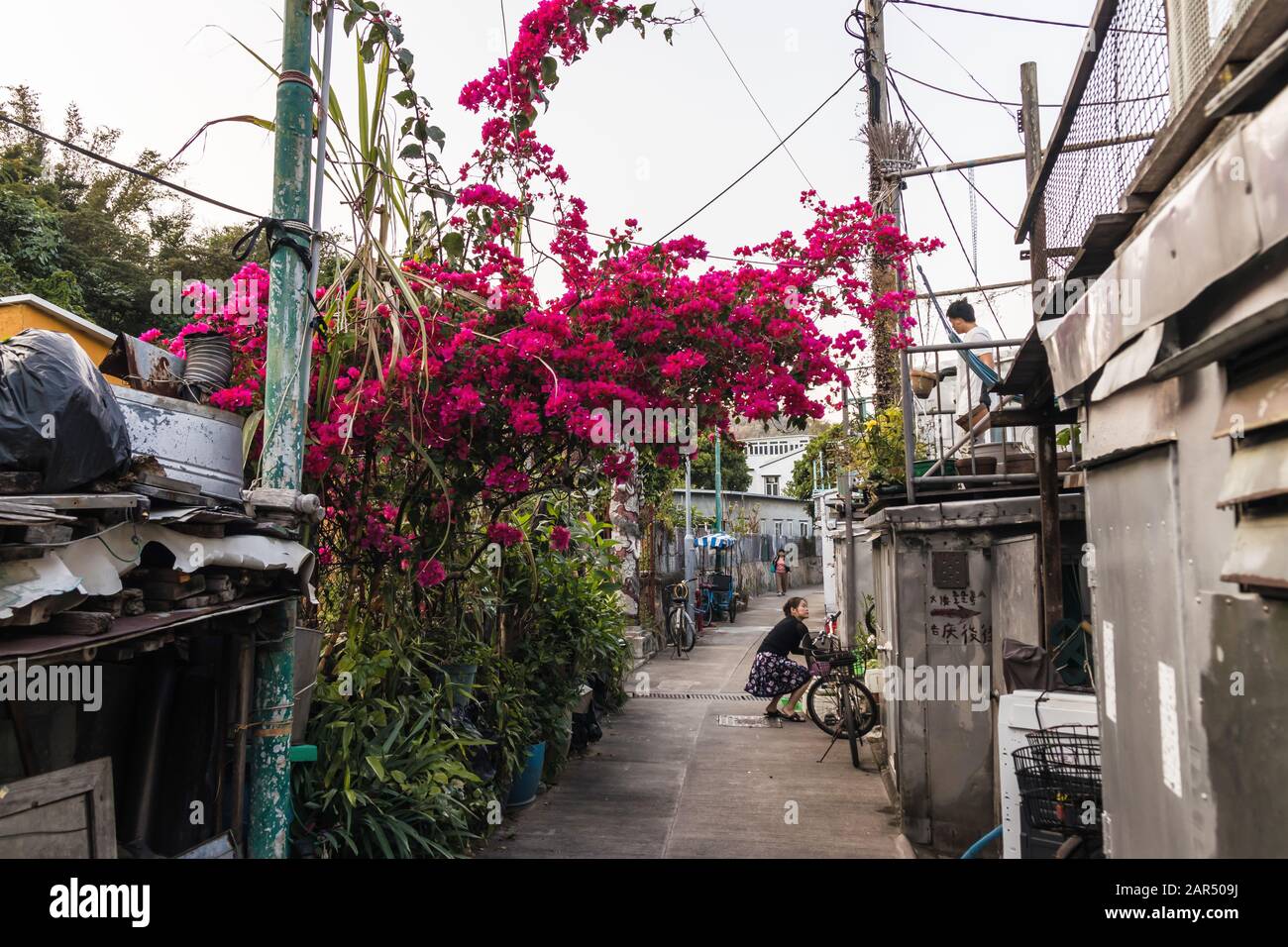 Kat Hing Back Street in Tai O Village, Tai O Island, Hong Kong Stock ...