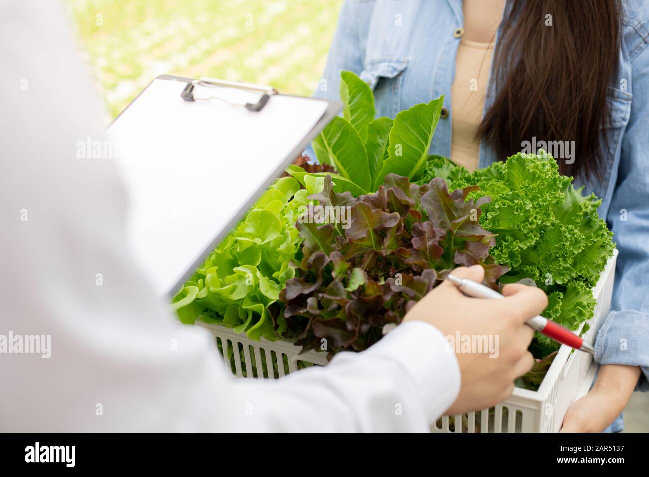 Strict inspection of organic vegetables after harvest for export to the ...