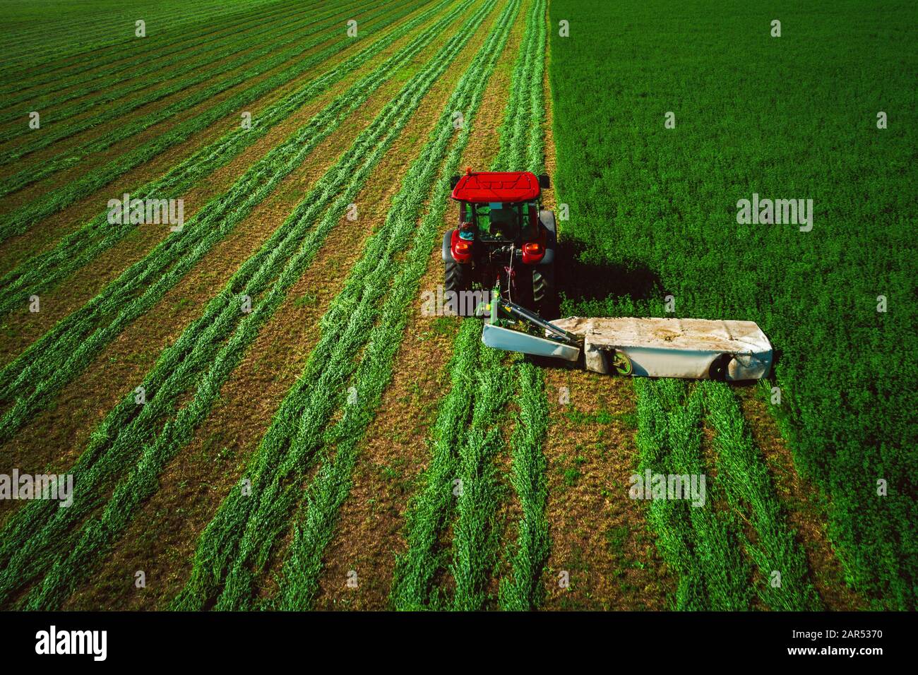 Tractor mowing grass field mow hi-res stock photography and images - Alamy