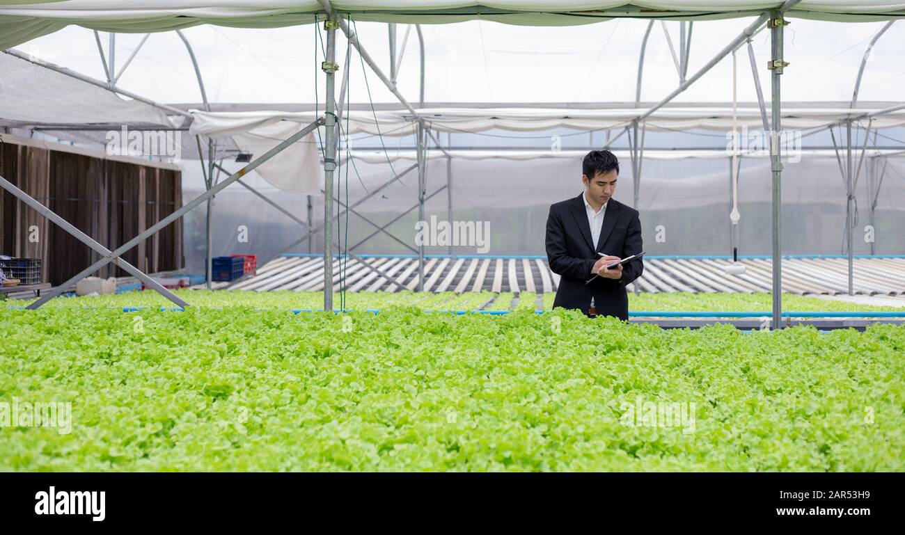Businessmen examine and record the quality reports of organic ...