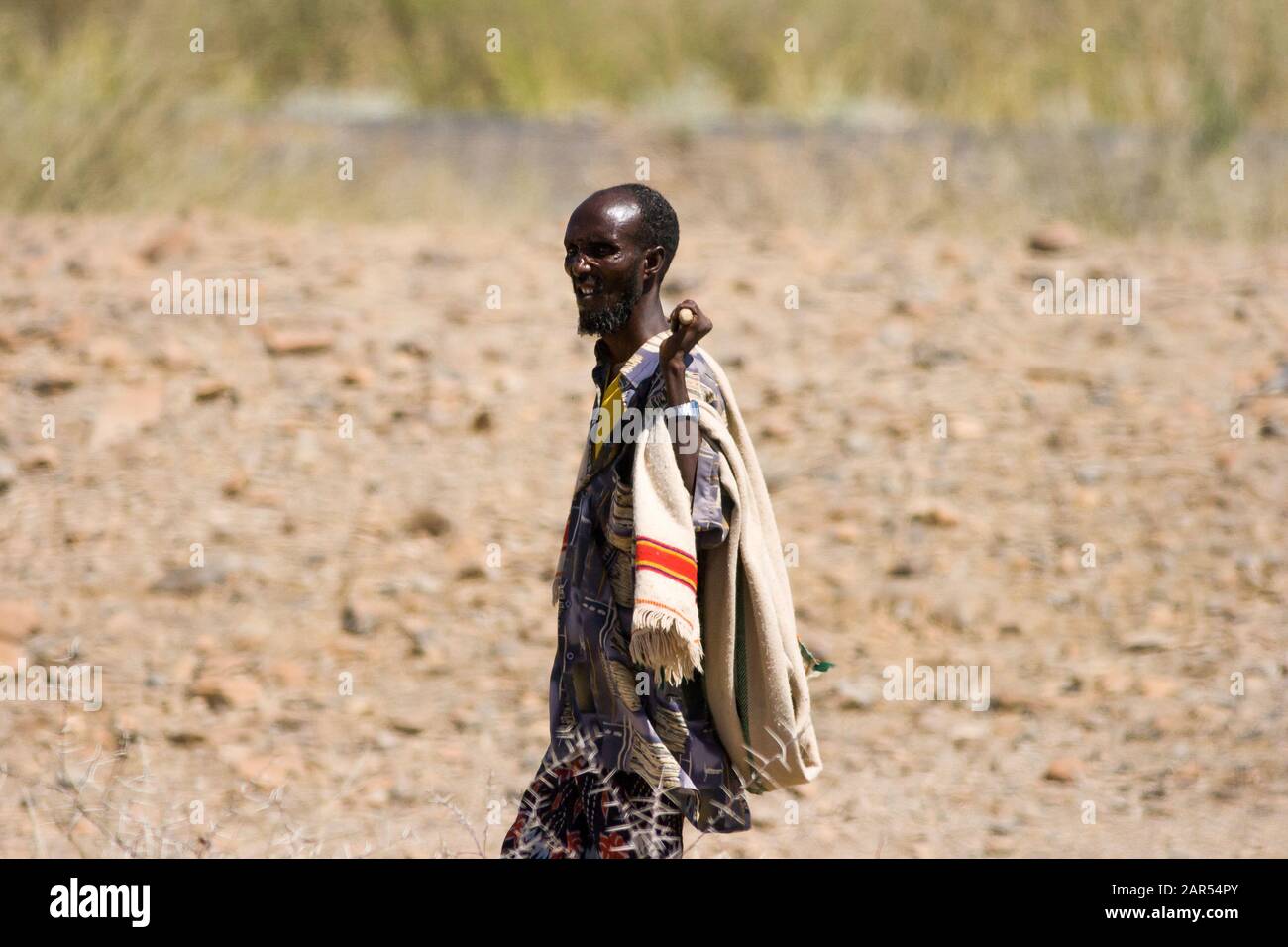 Ethiopian shepherd walking in the Afar landscape, Ethiopia. The ...
