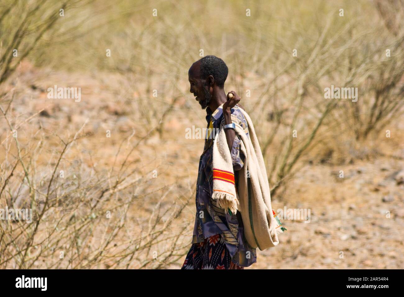 Ethiopian shepherd walking in the Afar landscape, Ethiopia. The ...
