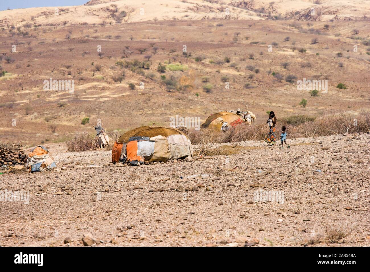 View of Afar nomad tent camp, Afar region, Ethiopia. The ancestors of ...