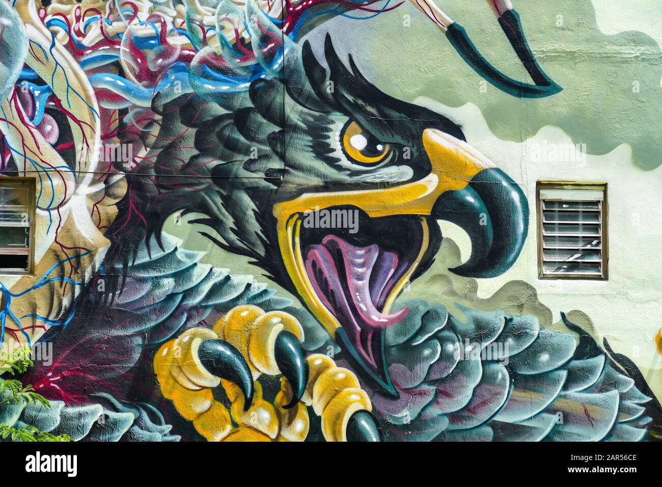 Urban graffiti eagle hi-res stock photography and images - Alamy