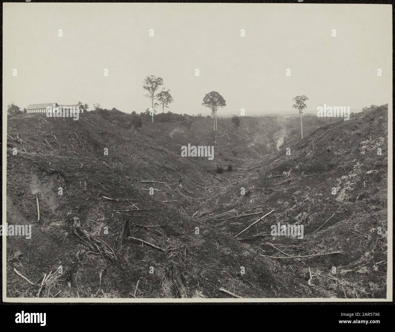 Photo album Deli Company: Tobacco Plantation in Deli The mining of the ...