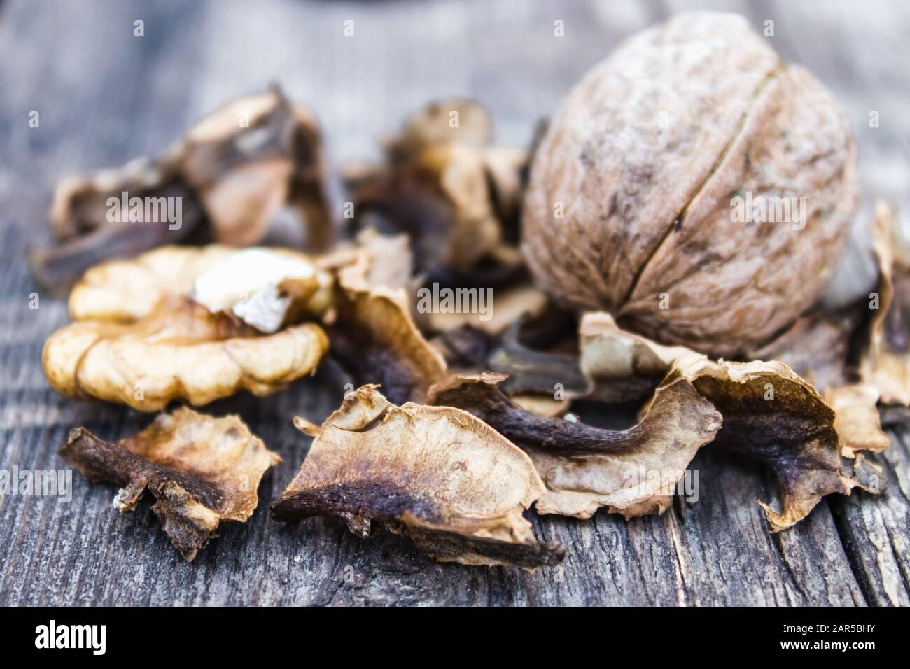 Types of walnuts with a diaphragm hi-res stock photography and images ...