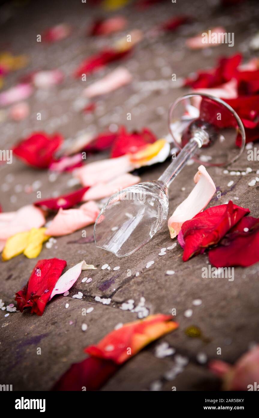 Shattered Glass Rose