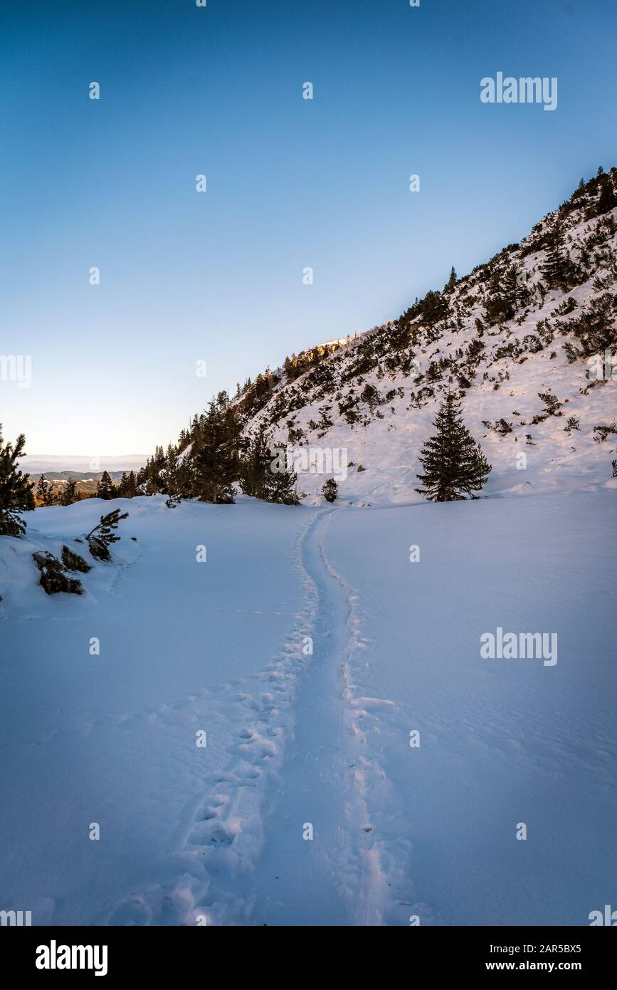 Winter mountain trail path running through the valley Stock Photo - Alamy