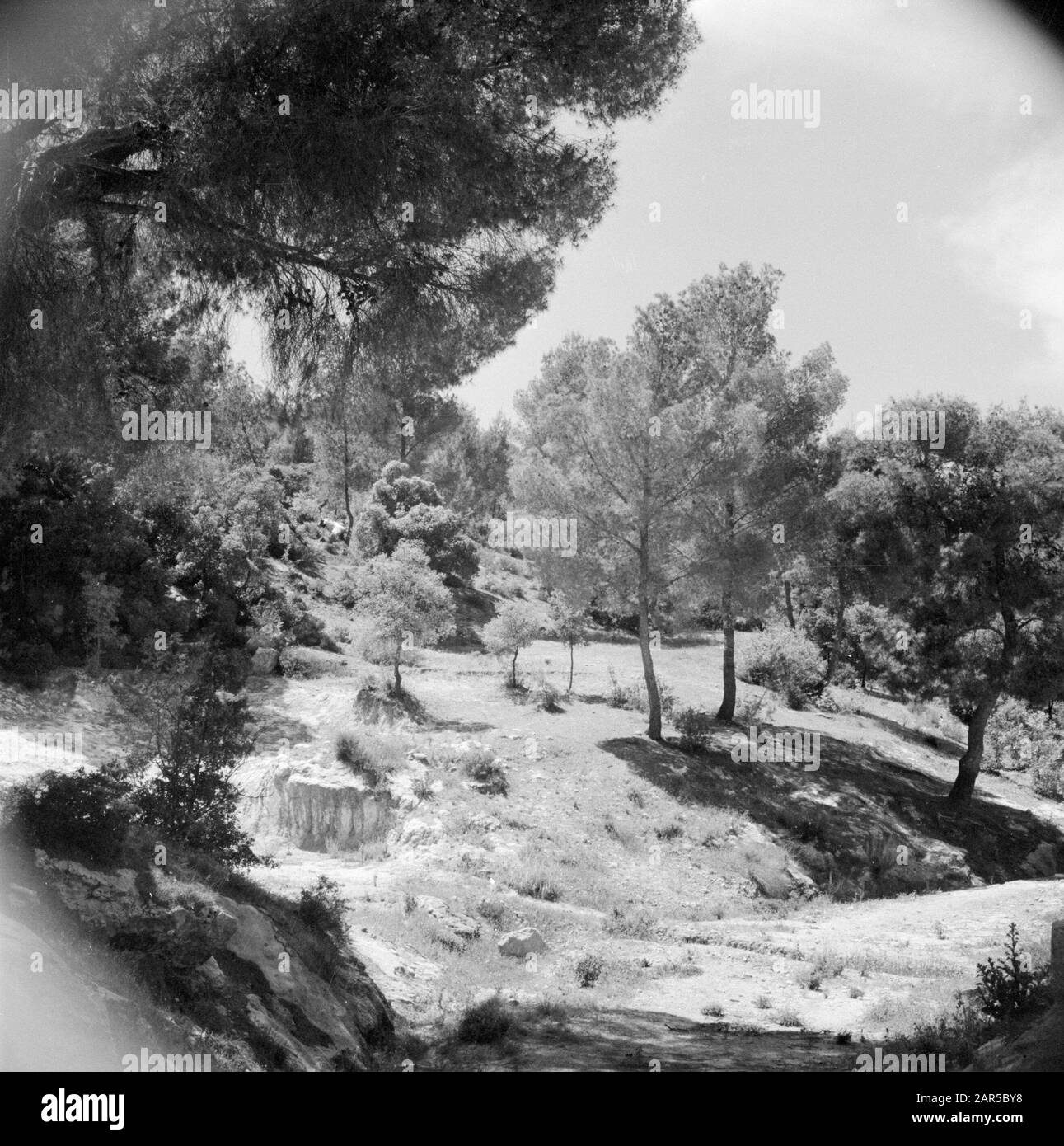 Gilead jordan Black and White Stock Photos & Images - Alamy