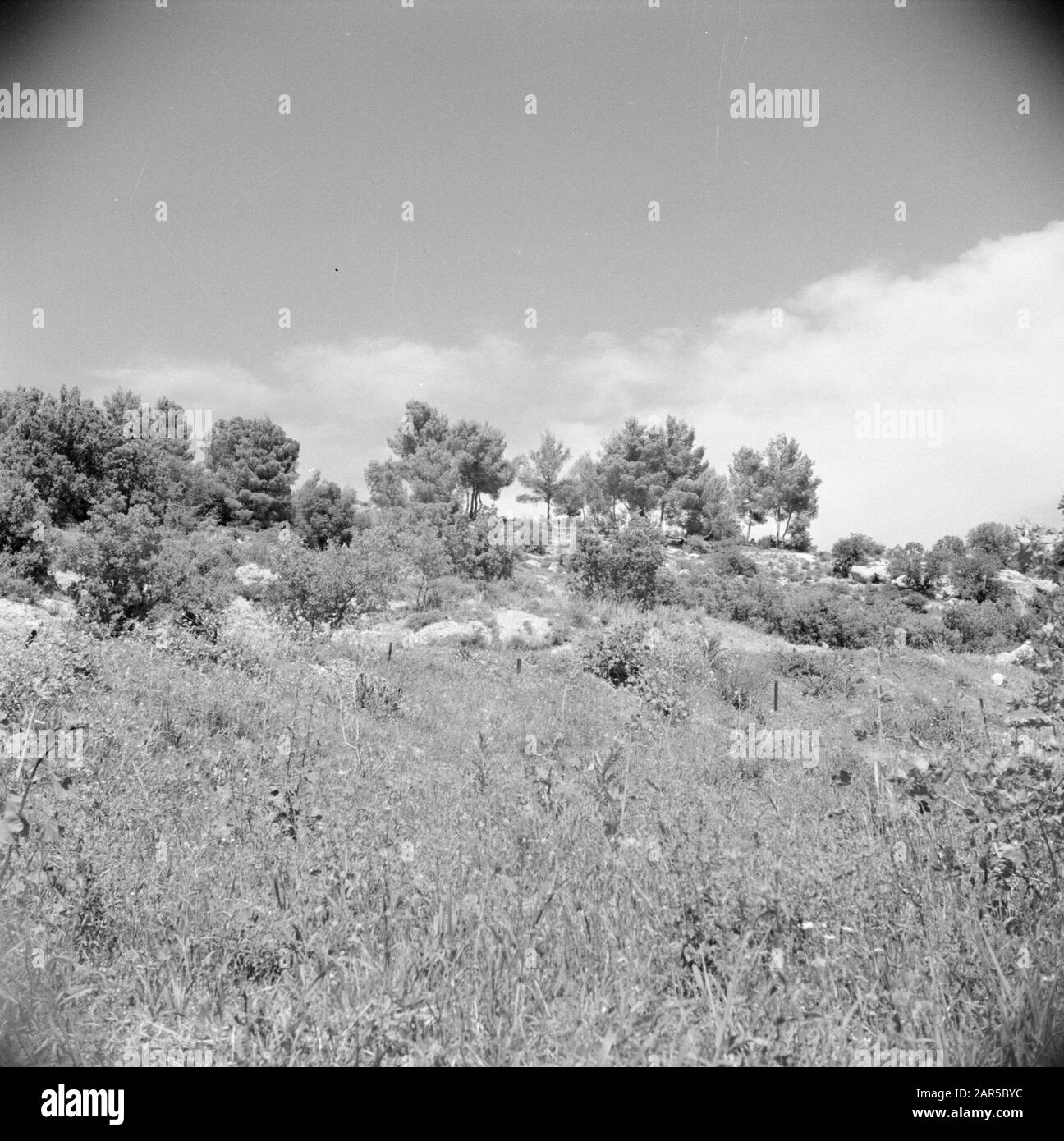 Gilead jordan Black and White Stock Photos & Images - Alamy